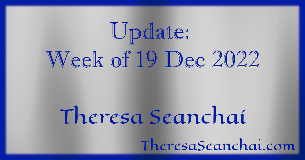 Update: Week of 19 Dec 2022 | Theresa Seanchaí